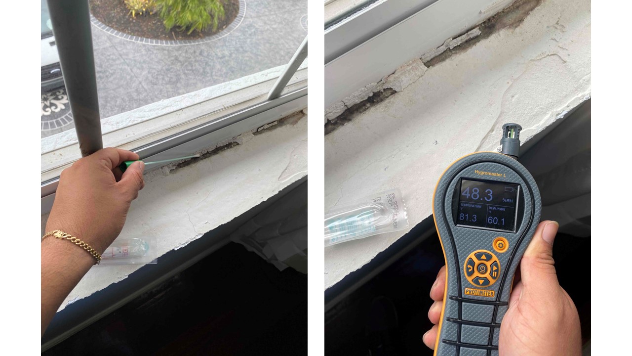 7 Simple Steps To Do A Mold Test [Tips & Benefits]